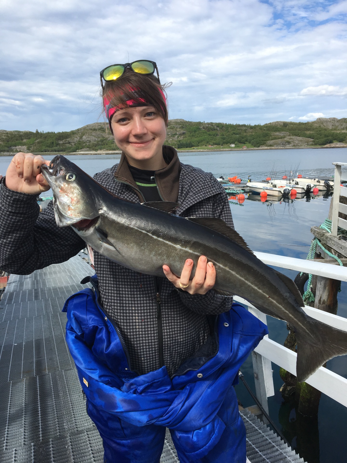 Treska tmavá :: norska-pohoda